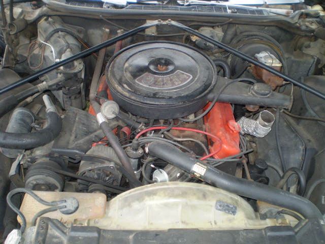 73 Buick Estate | Station Wagon Forums